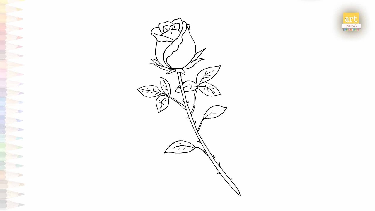 Rose flower easy drawing | Flower drawing tutorial | How to draw A Rose ...