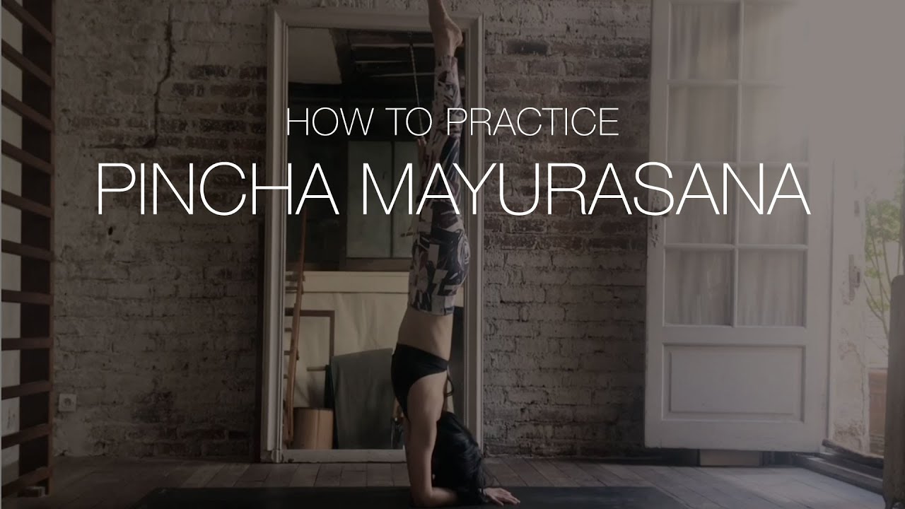 ピンチャのコツ / How to Practice Pincha Mayurasana - YouTube