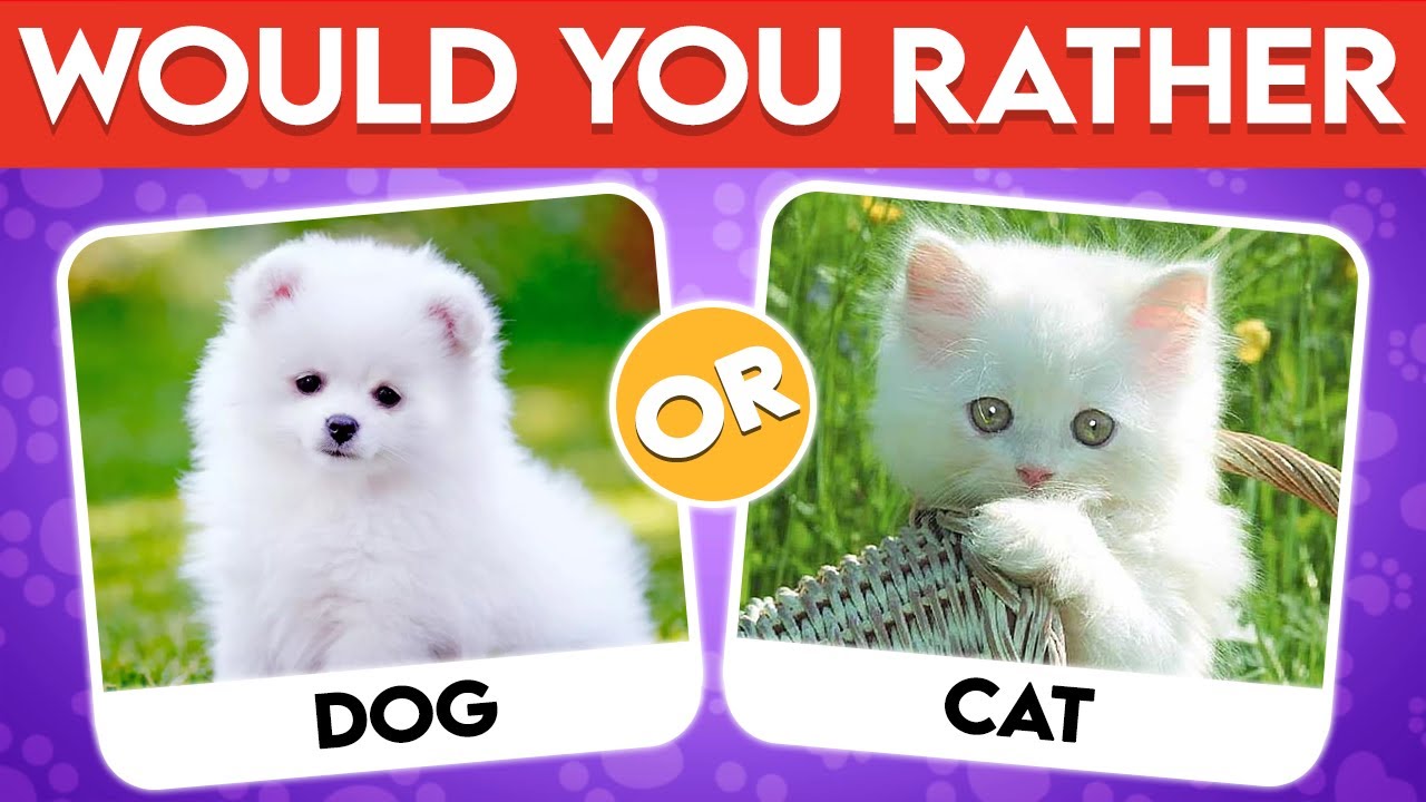 Would You Rather? | Animals Edition 🐶 - YouTube