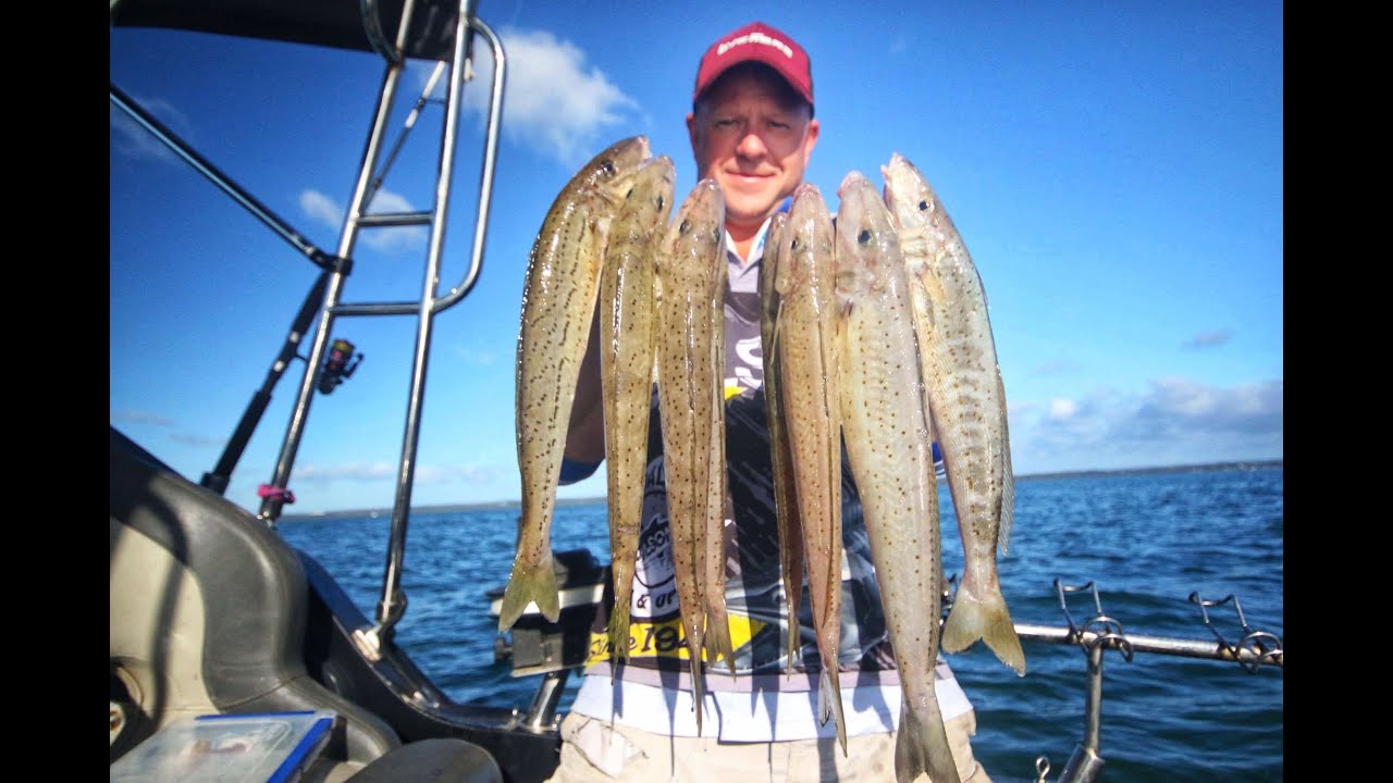 Targeting Western Port Channel Whiting - YouTube