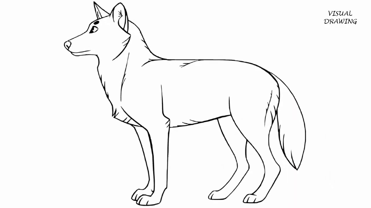 How To Draw A Wolf Body