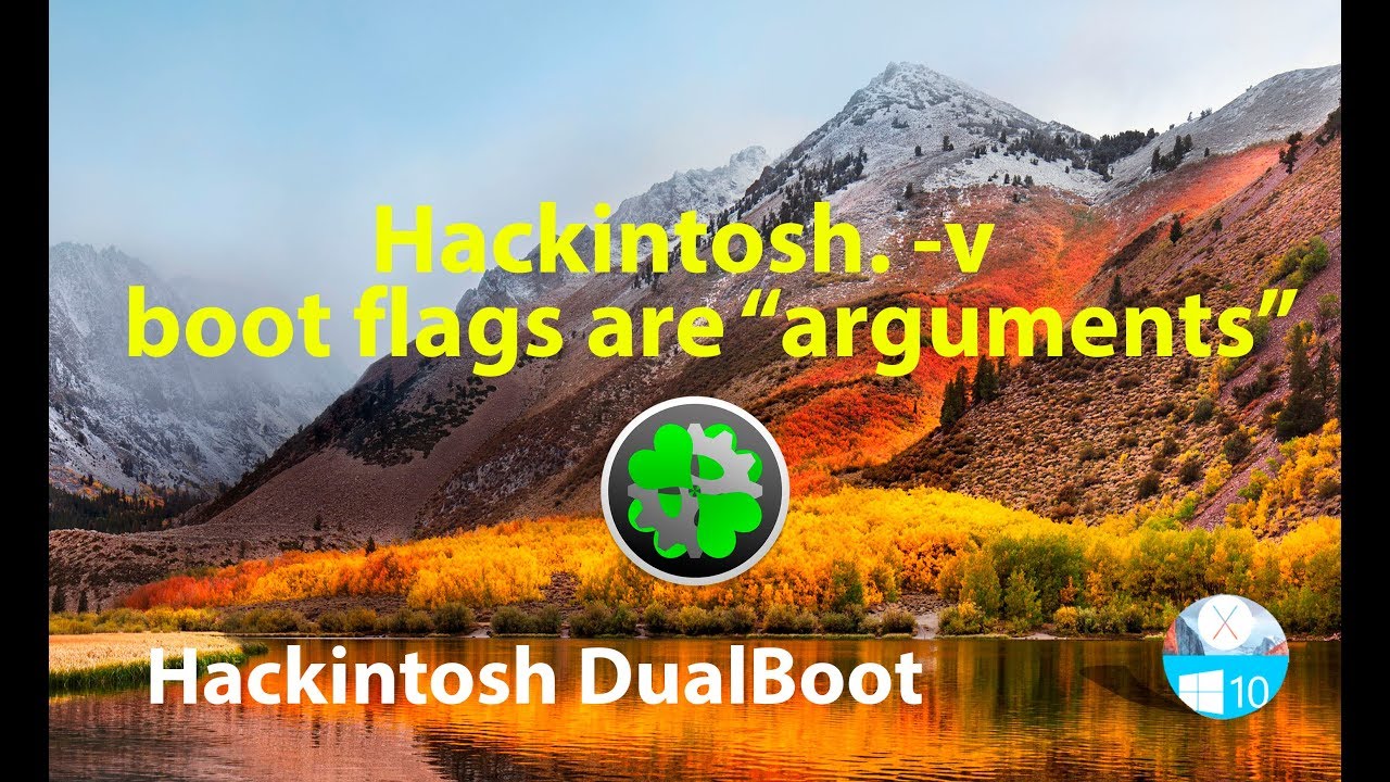 Hackintosh. boot flags are "arguments" -v - YouTube