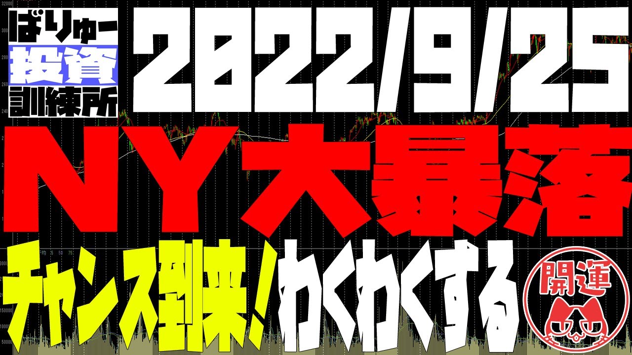 NY暴落を受け、明日からの戦い方は？ 意外と真剣な話 - YouTube