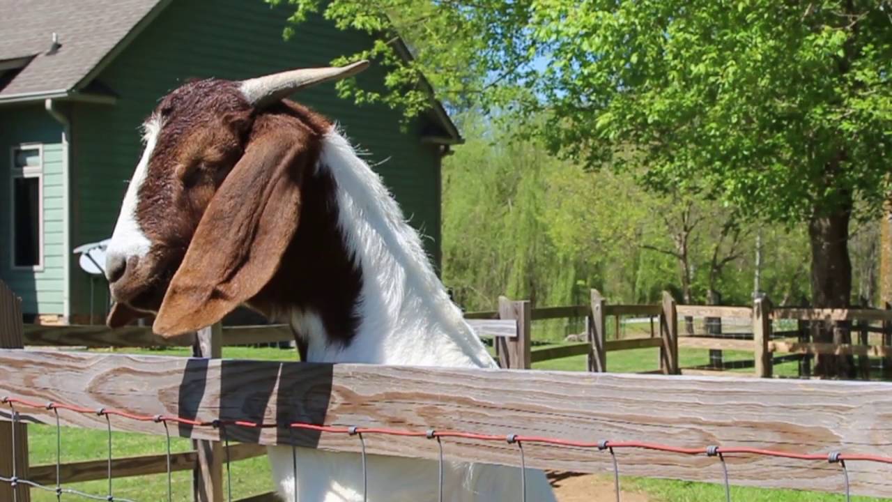 The Barn on Beaumont - YouTube