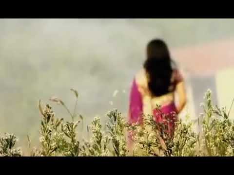 Geri geldi !!!!!!! ( Tapasya kördüğüm )