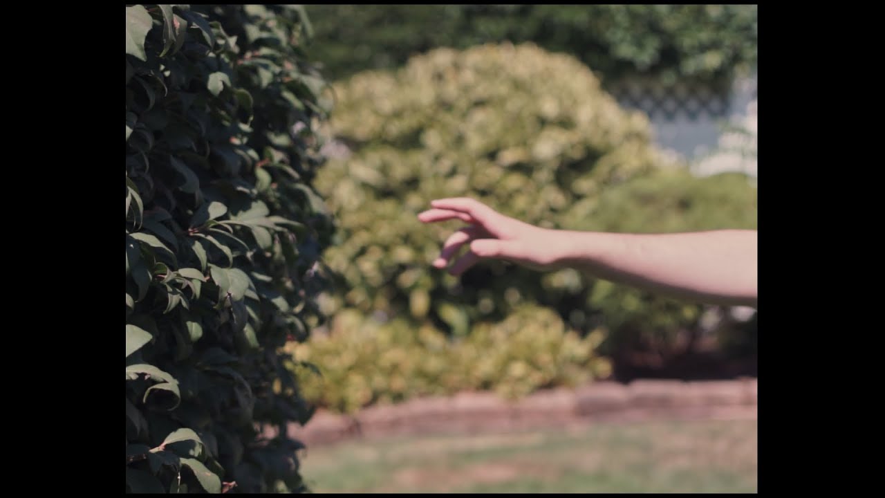 Into the Bushes | Horror Short Film - YouTube