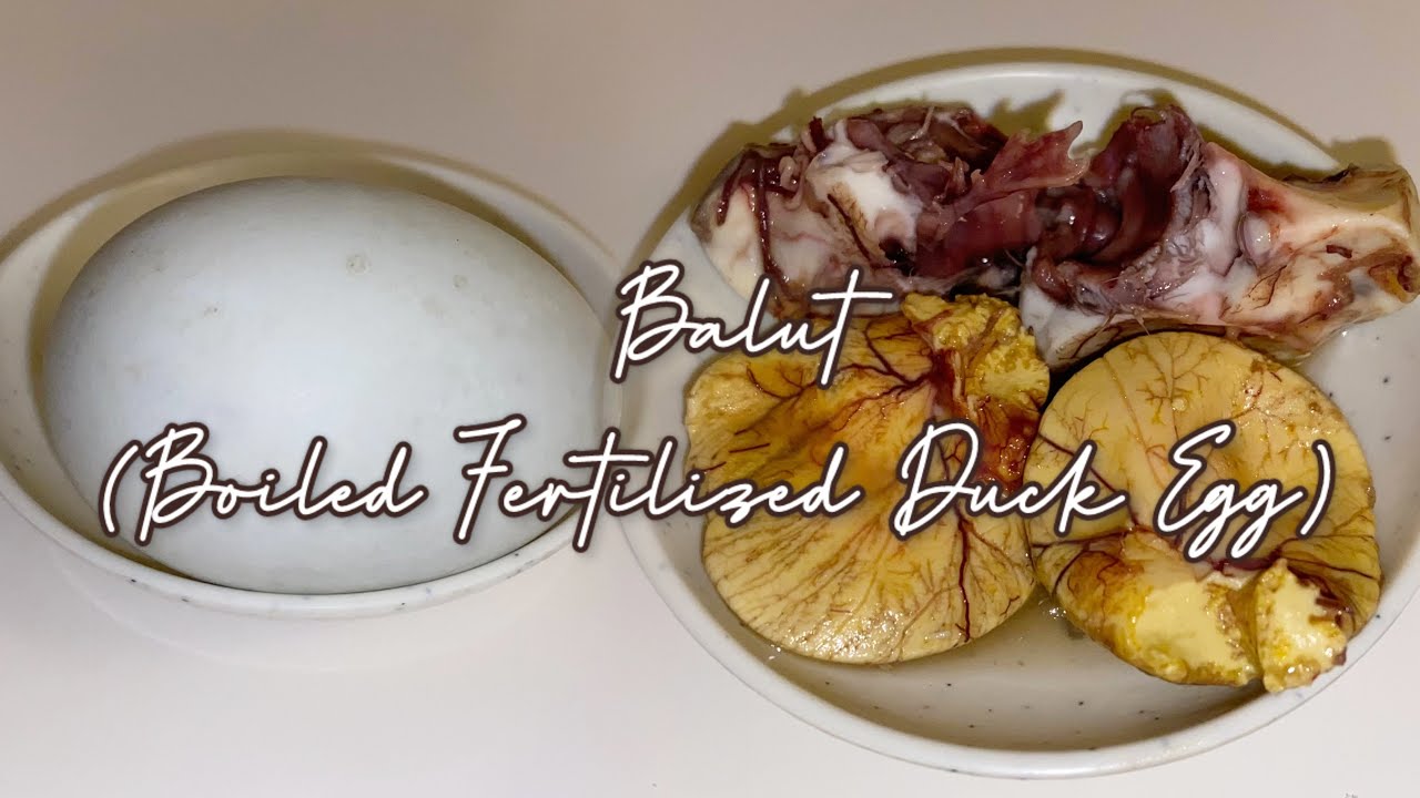 LET'S CRACK AND PEEL THE BALUT (BOILED FERTILIZED DUCK EGG) - YouTube