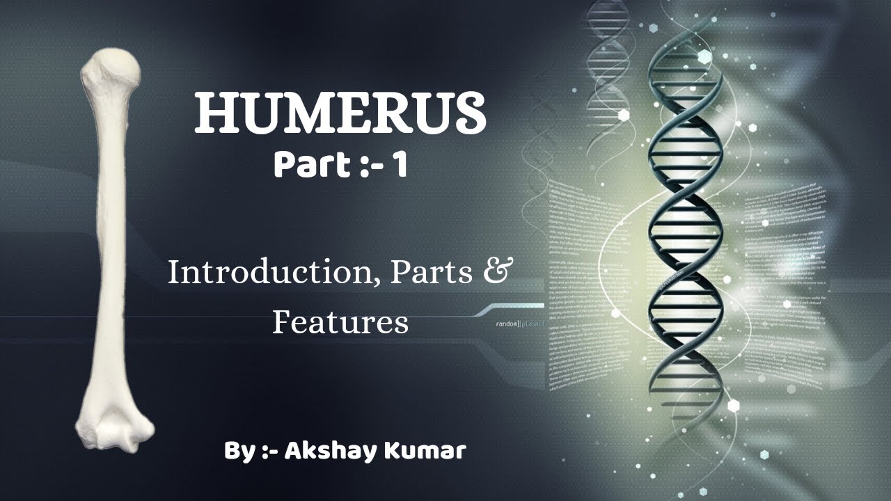 Humerus Bone | Introduction and Parts | Bone Series Video 1 | Science ...