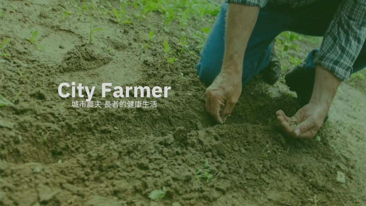CityFarmer 城市農夫計畫 - YouTube