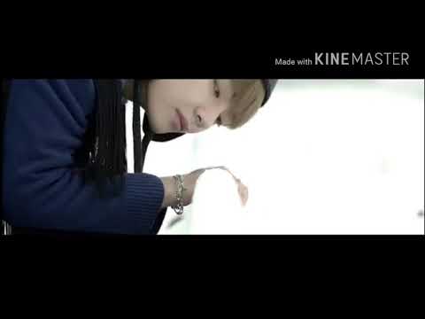 Human - BTS version ~My video~
