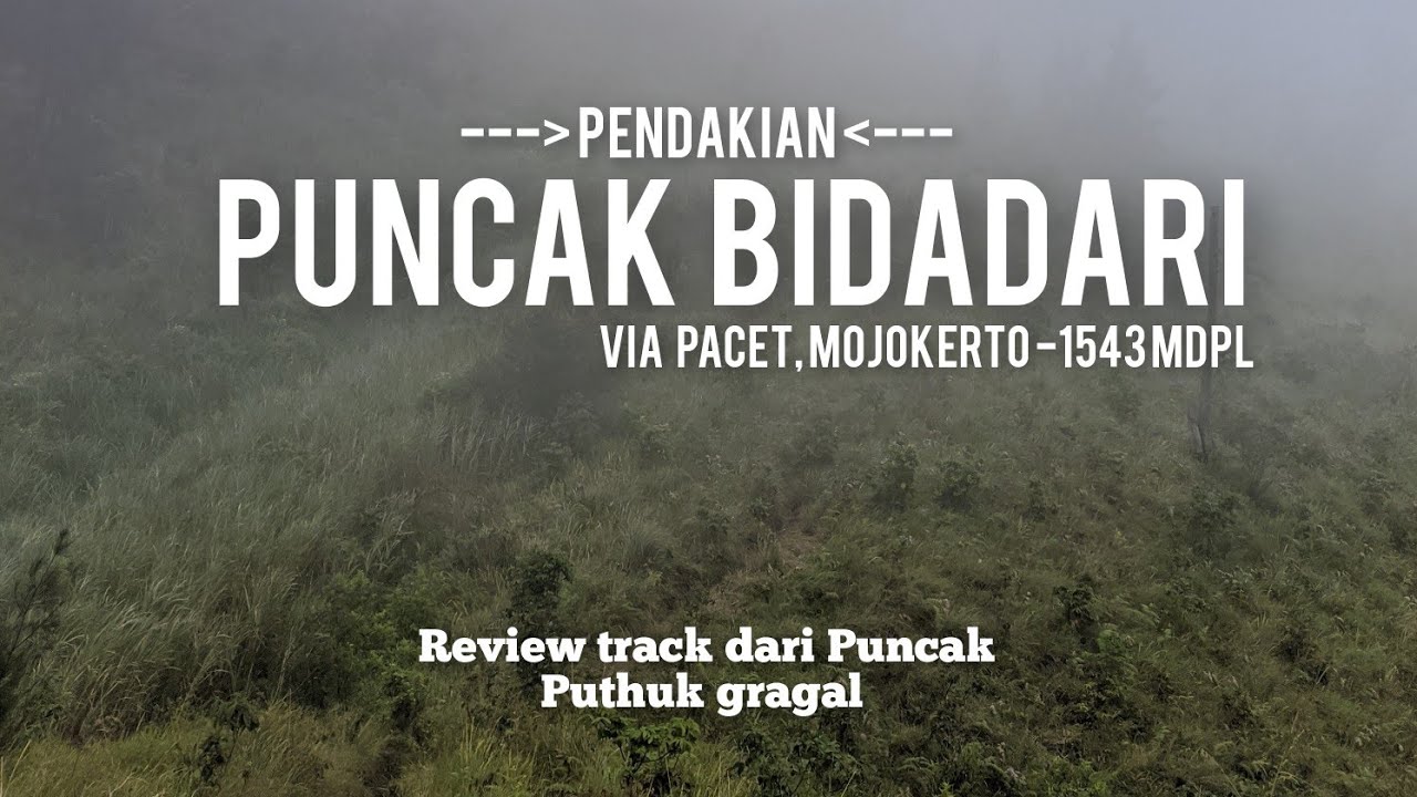 PUNCAK BIDADARI 1543 MDPL - VIA PACET, MOJOKERTO (SOLO HIKING - TEK TOK) PART2 - YouTube