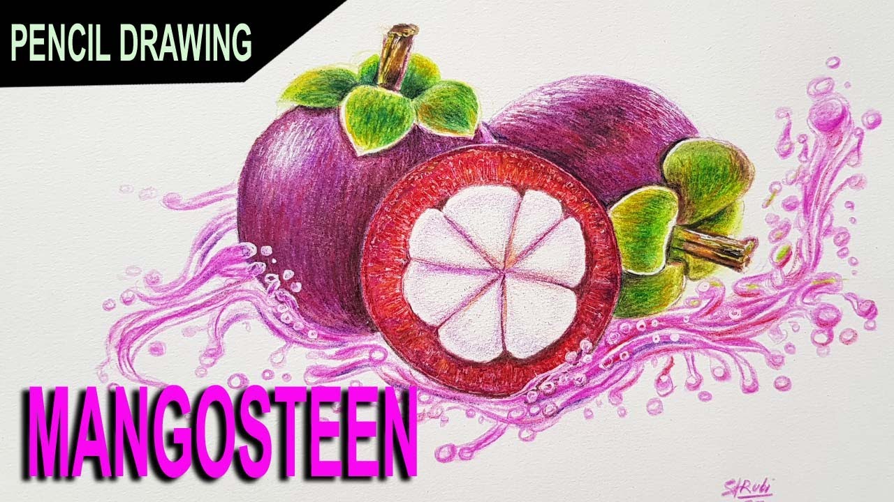 DRAW MANGOSTEEN WITH SPLASH WATER - COLOR PENCIL DRAWING - YouTube