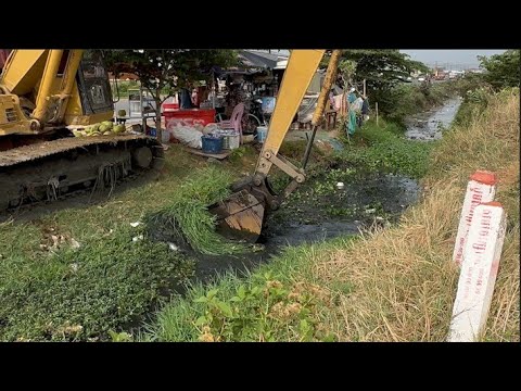 Plants grow! Clogging needs help to remove all floating plants that are ...