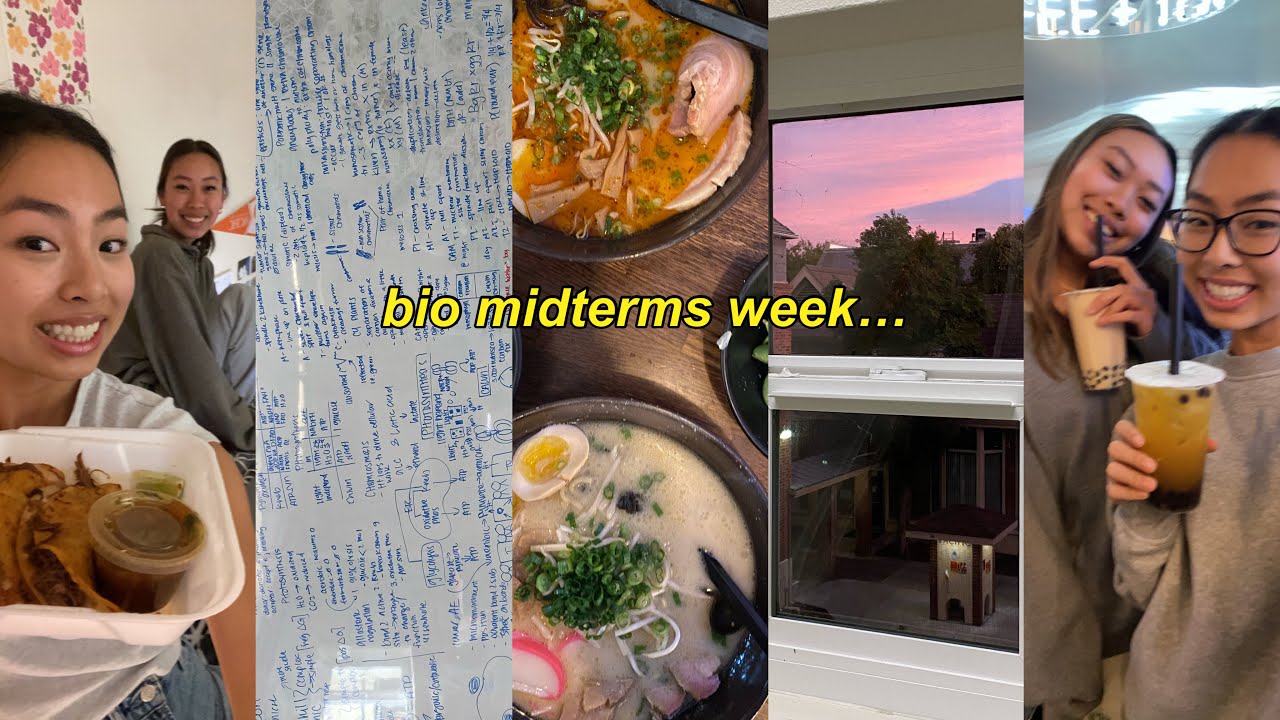 college midterms week. im dead. 🫠 - YouTube