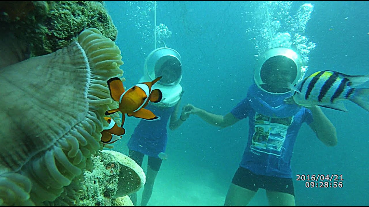 Under water sea walk Havelock Island, Andaman's - YouTube