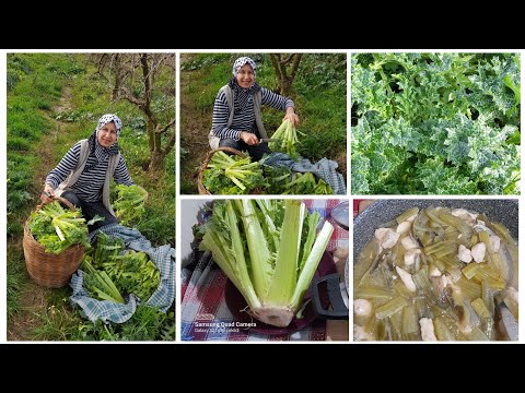 🌲KENGER💯 BEKLENEN👍 YEMEK. KENGER NASIL TOPLANIR🧿