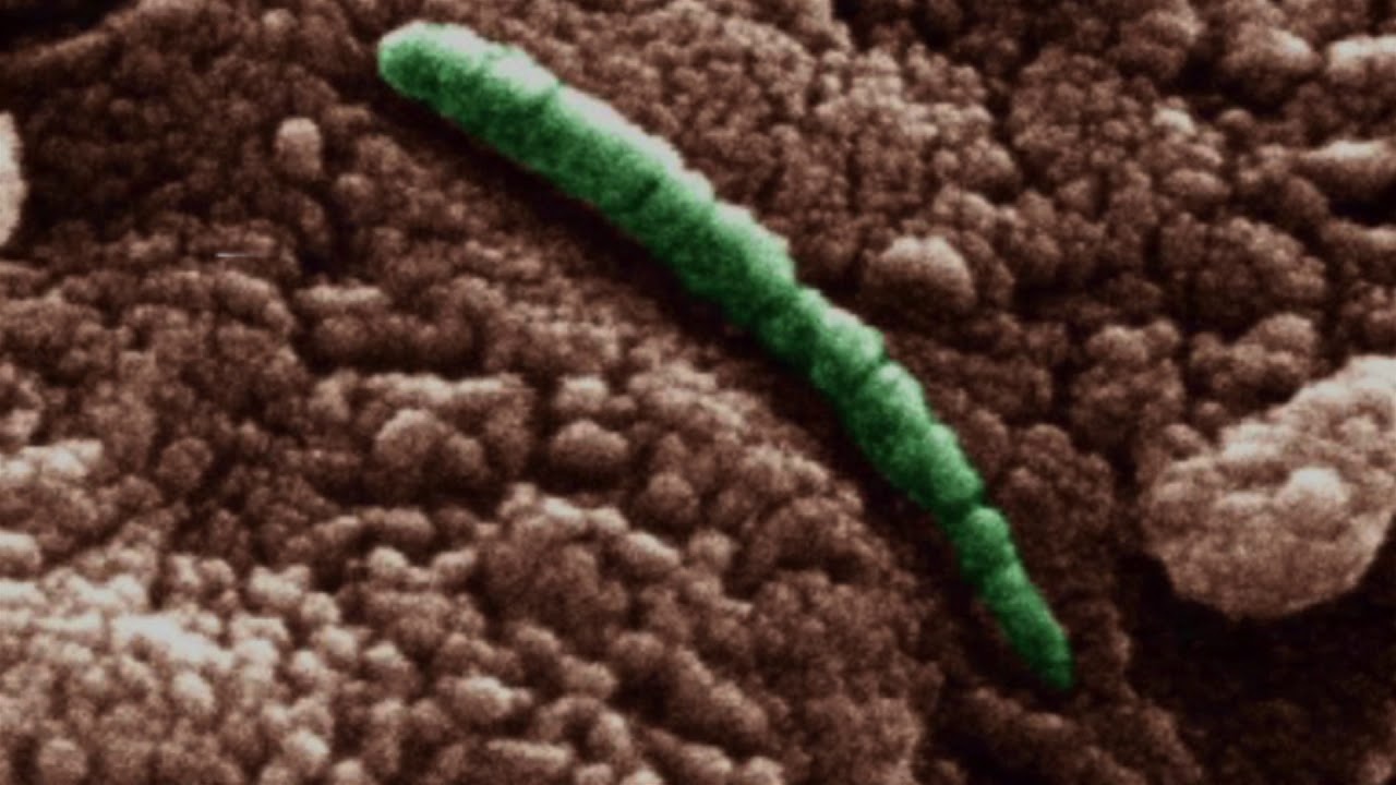 The Case of ALH84001 - YouTube