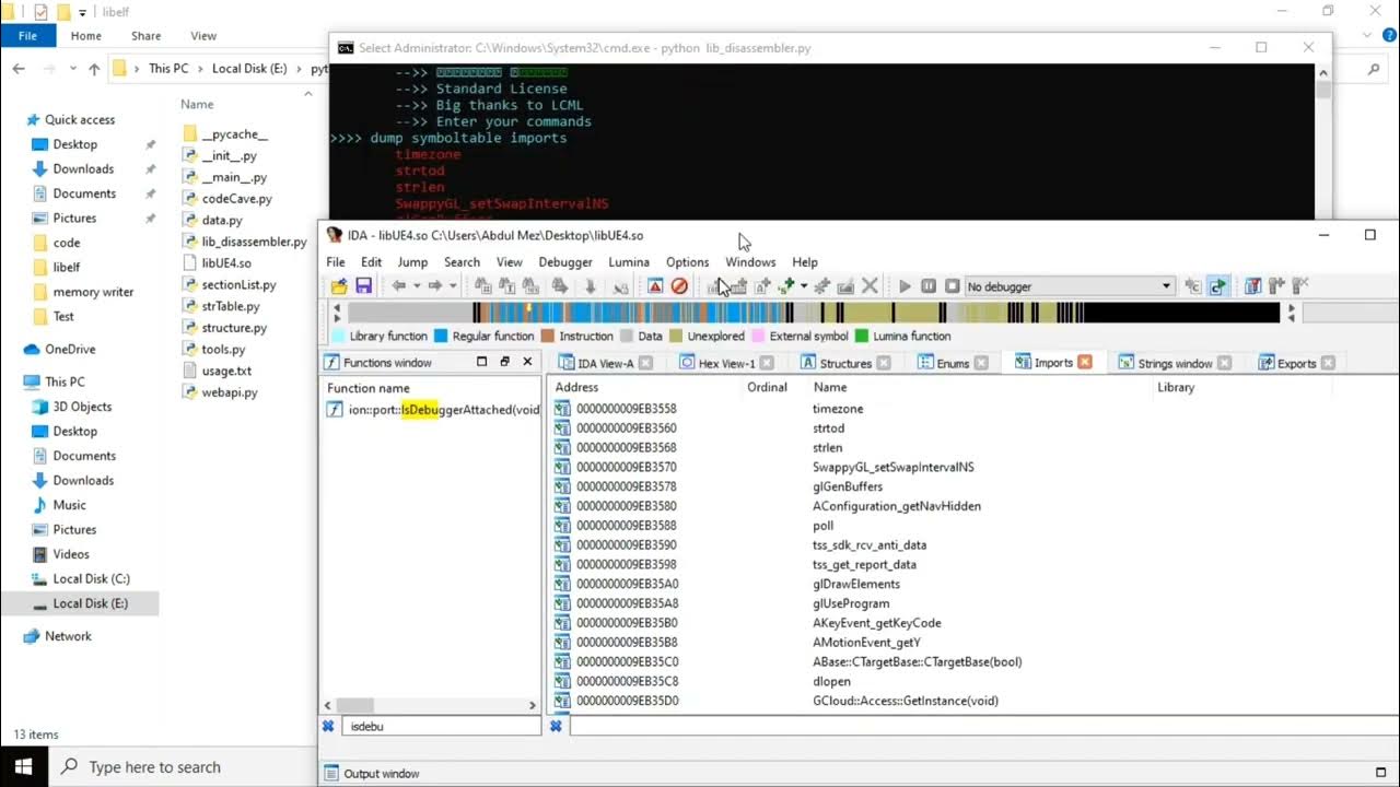 Libs and ELF files disassembler - YouTube