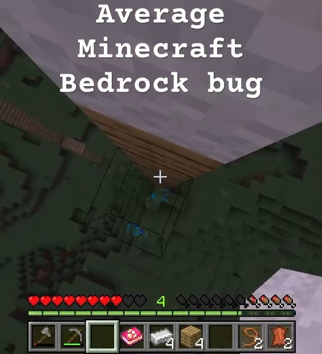 Minecraft bedrock glitch #meme #memes #minecraft #recommended #shorts ...