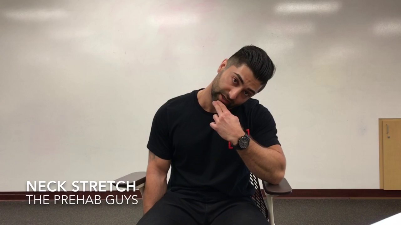 3 Neck Stretches: Levator Scapulae, Upper Trapezius, and Scalenes ...