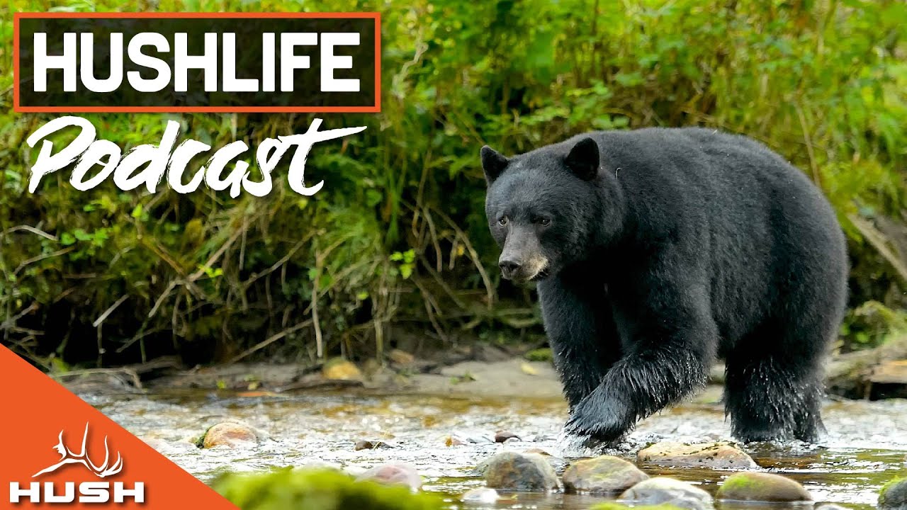 A BACKCOUNTRY BEAR HUNT - EP18 | HUSHLIFE PODCAST - YouTube