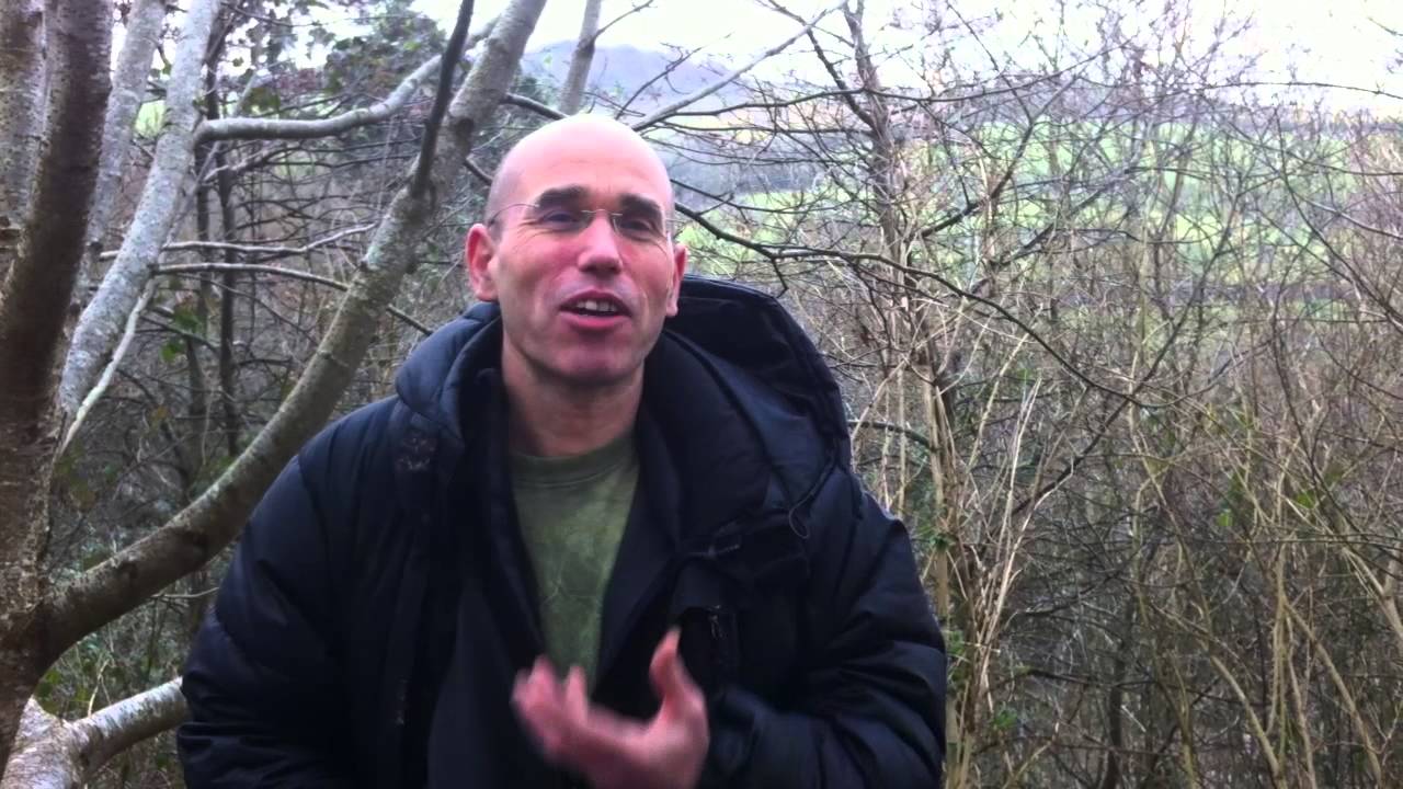 Mark Boylan - Messaggio alla comunità danzante di Movement Medicine ...