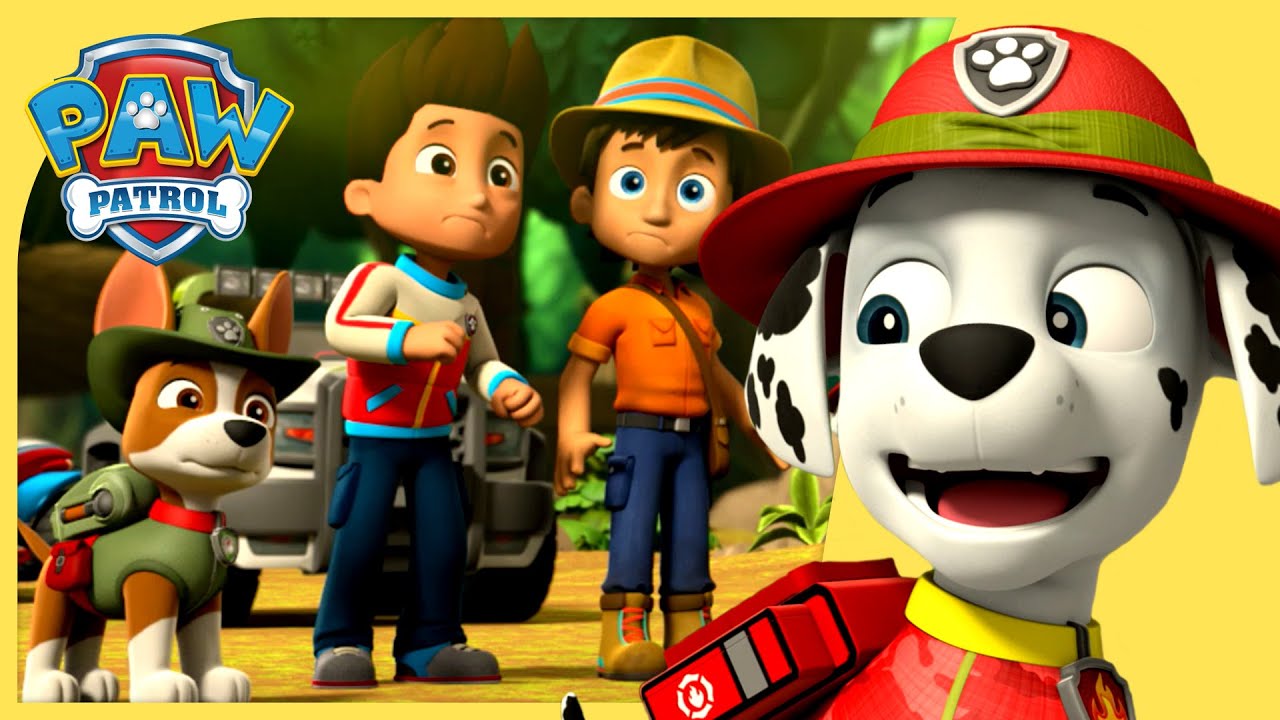 Marshall Saves a Monkey 🐒 + More Rescue Episodes - PAW Patrol ...