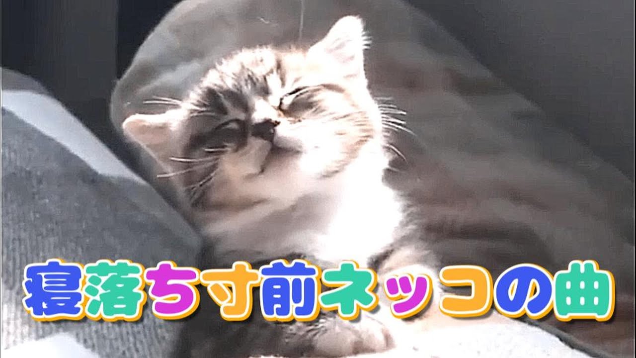 Cat Nap ～1994.～（ORIGINAL SONG） - YouTube