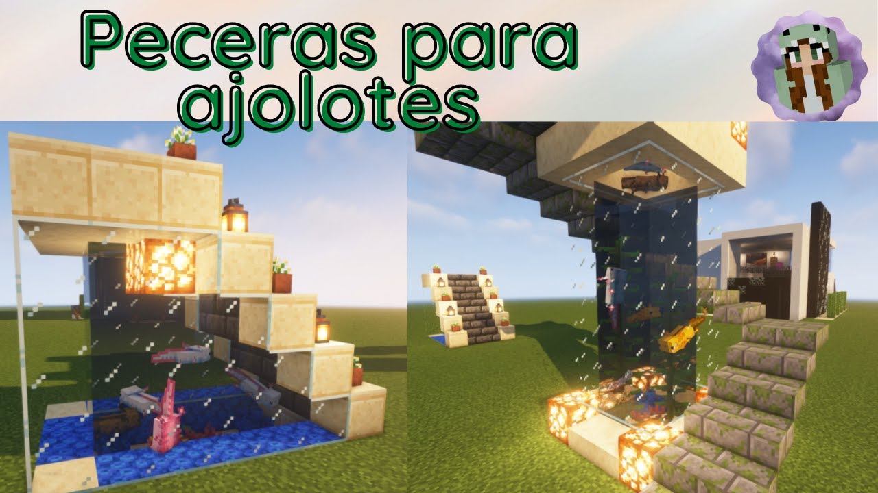 ⛲ Minecraft: Peceras para AJOLOTES🐠 con escaleras DECORACIÓN - YouTube