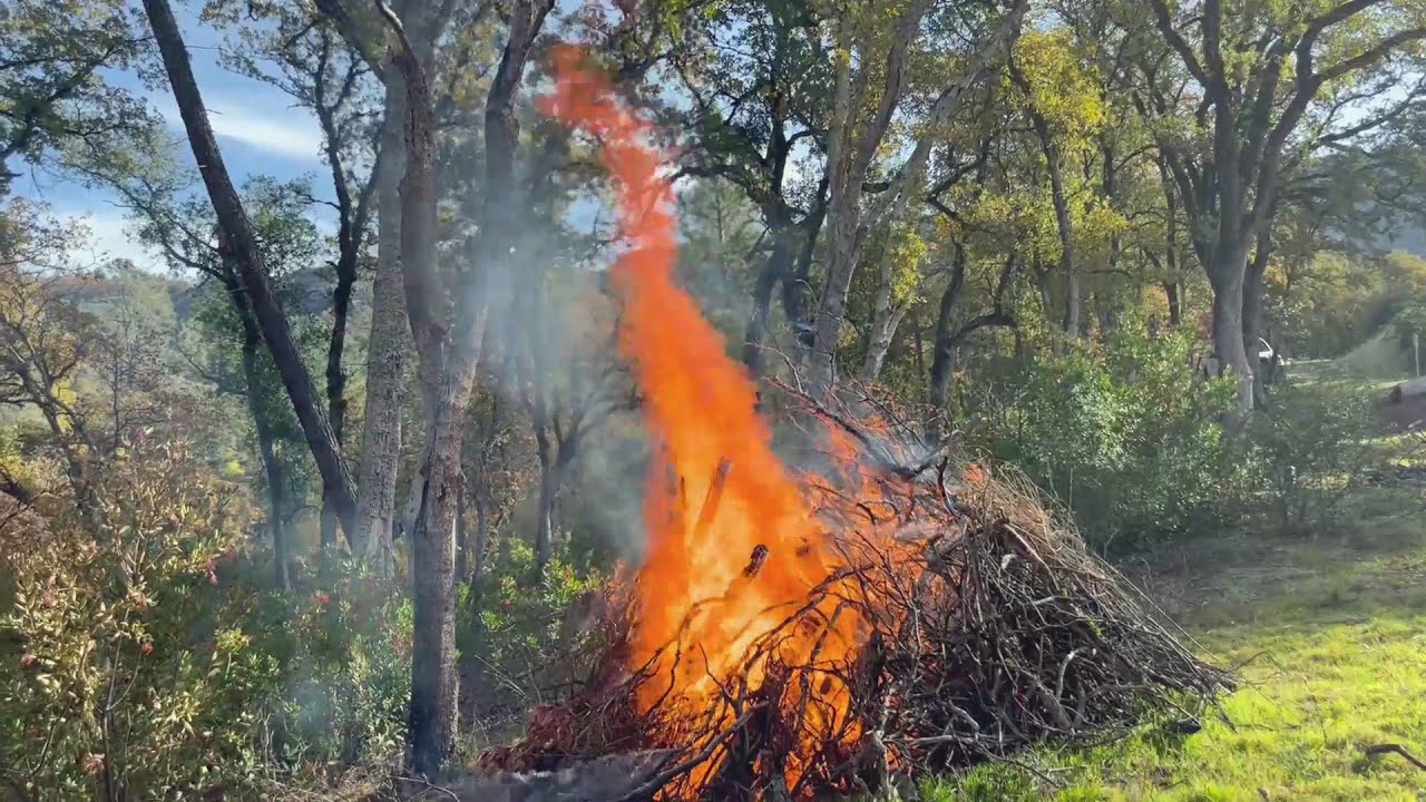 Land Management: Burn Pile, Prescribed Burn and Brush Cutting with ...