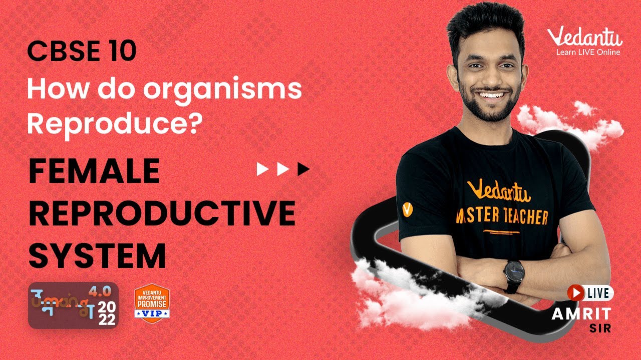 How do organisms reproduce? | Female Reproductive System | Umang CBSE ...