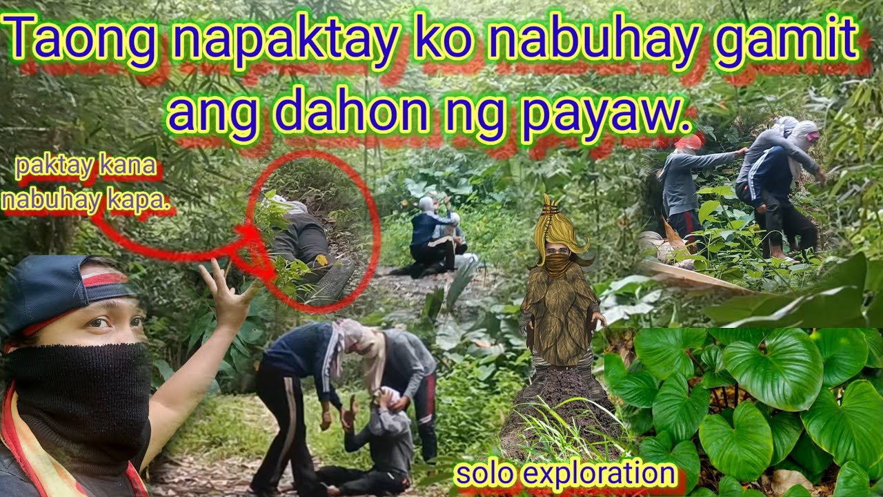 Taong panaktay ko nabuhay tapos ginamot nila gamit Ang dahon Ng payaw ...