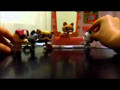 LPS What has happened - YouTube