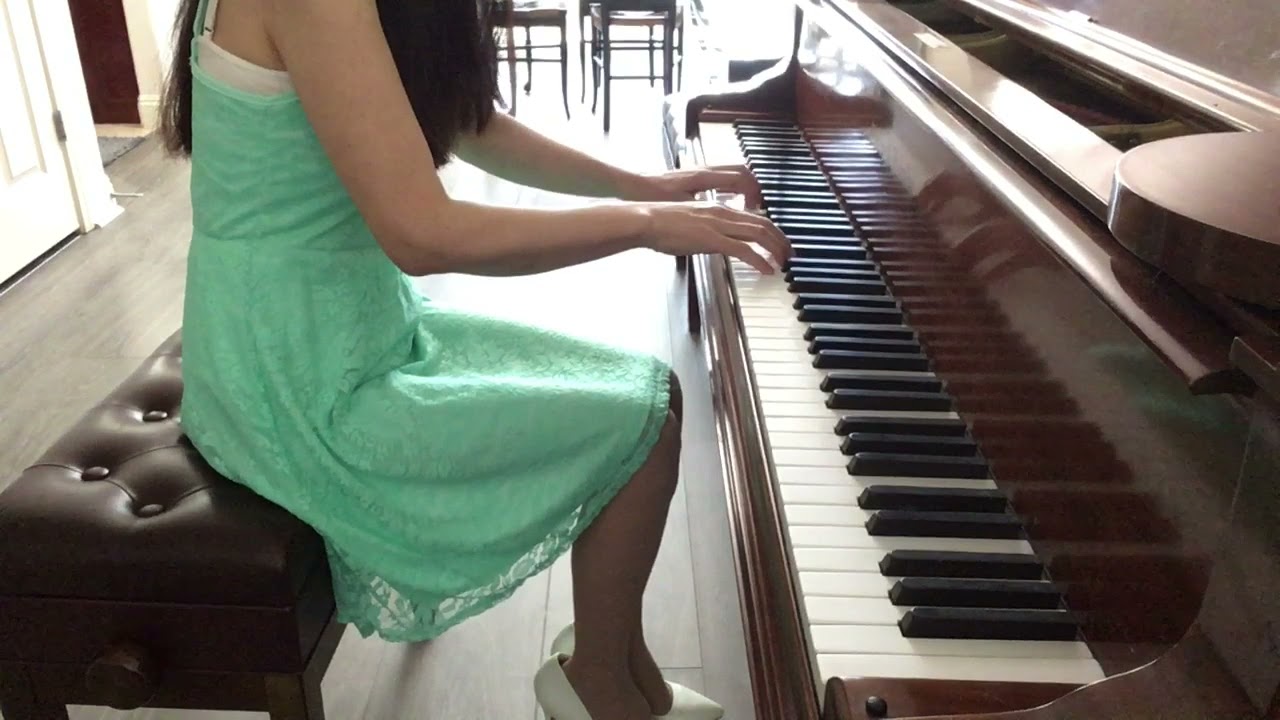 Mary Ann Alfred’s Basic Adult Piano Course Lesson Book Level One ...