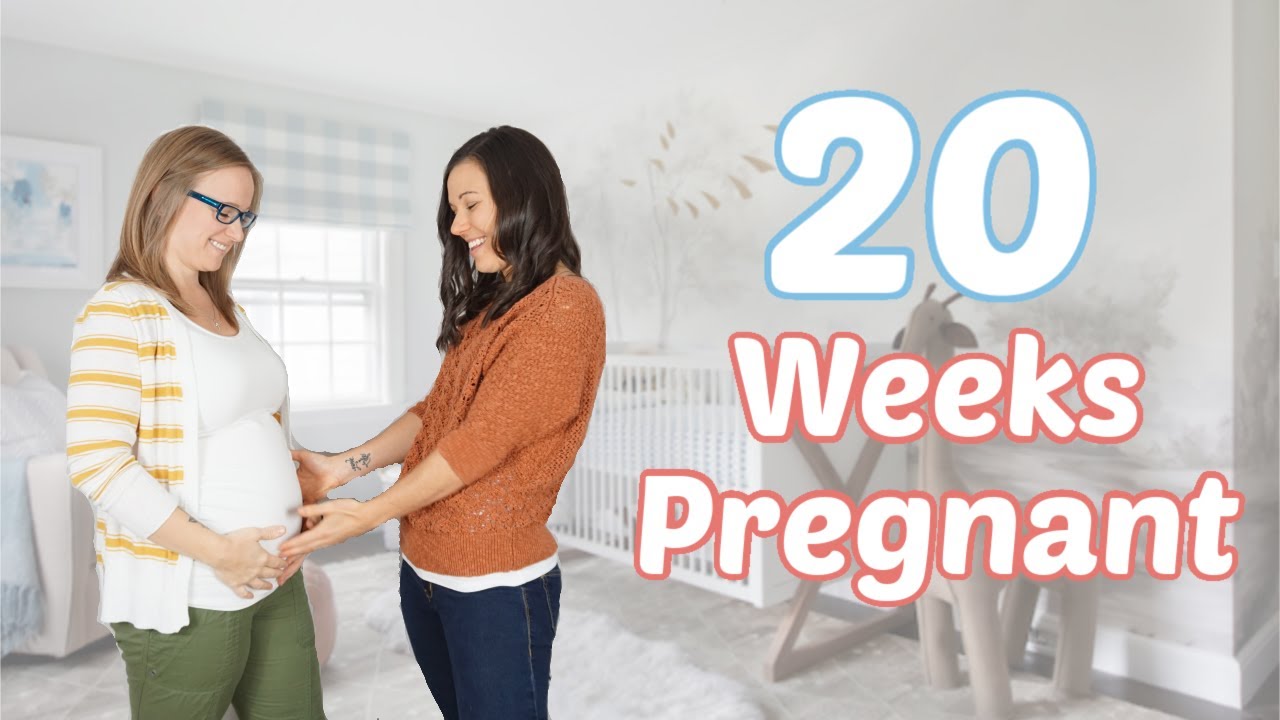 Lesbian Couple 20 Weeks Pregnant Belly Shot Youtube