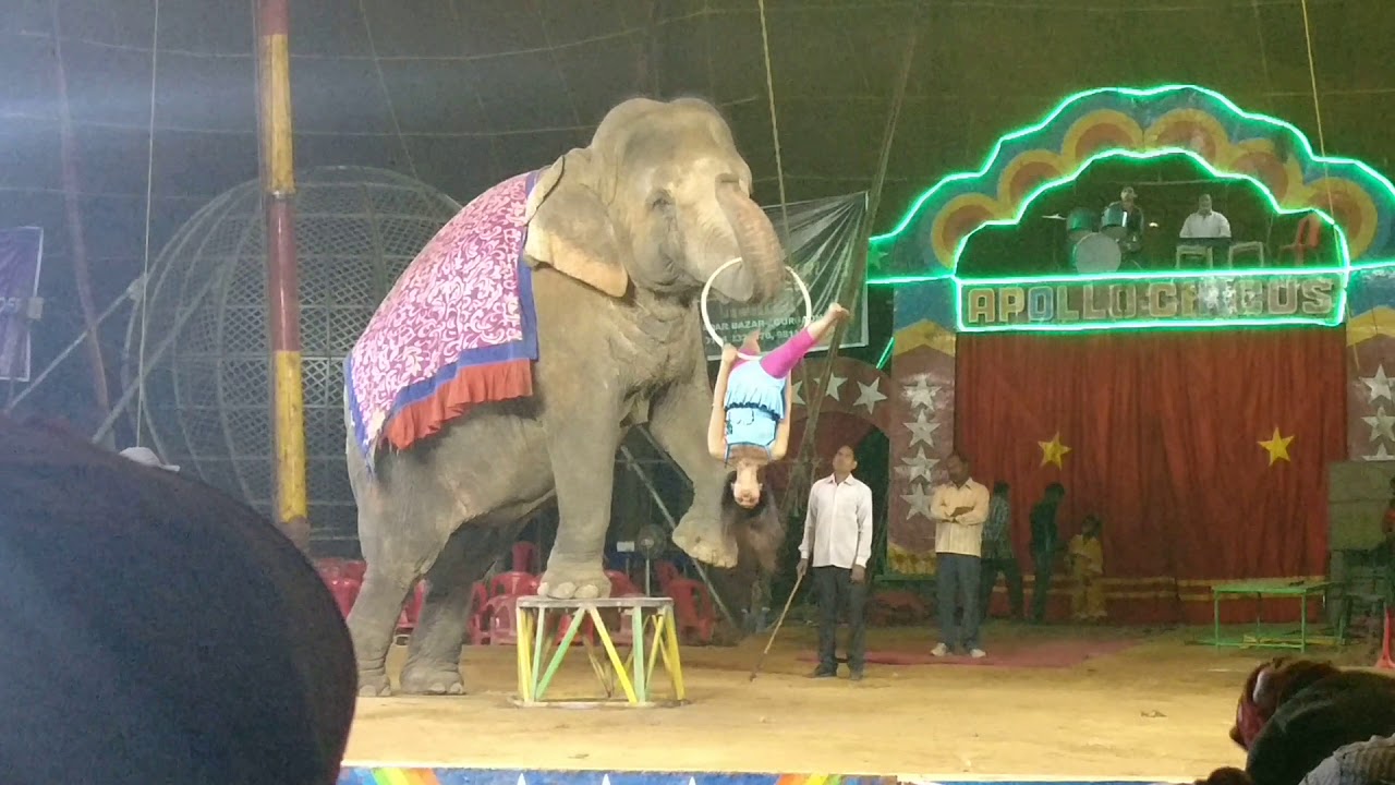 Indian Circus, a bundle of nostalgia_Part3 - YouTube