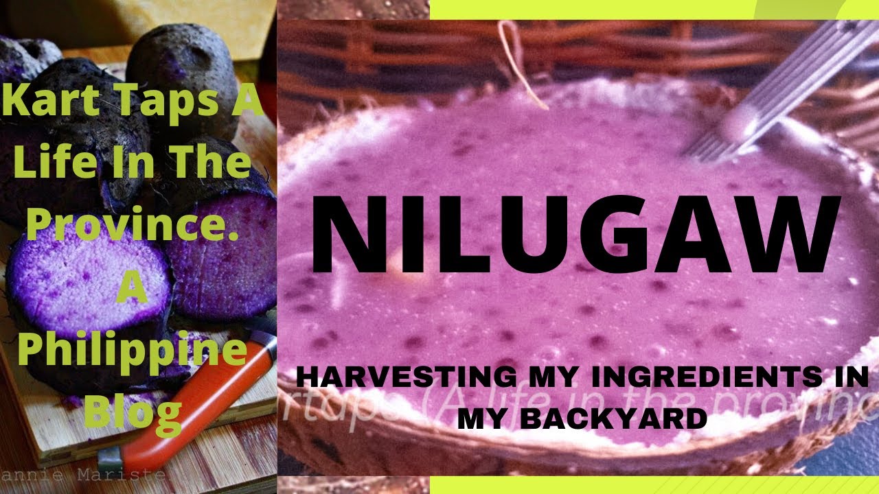 PICKING UP INGREDIENTS IN MY BACKYARD TO MAKE NILUGAW. - YouTube