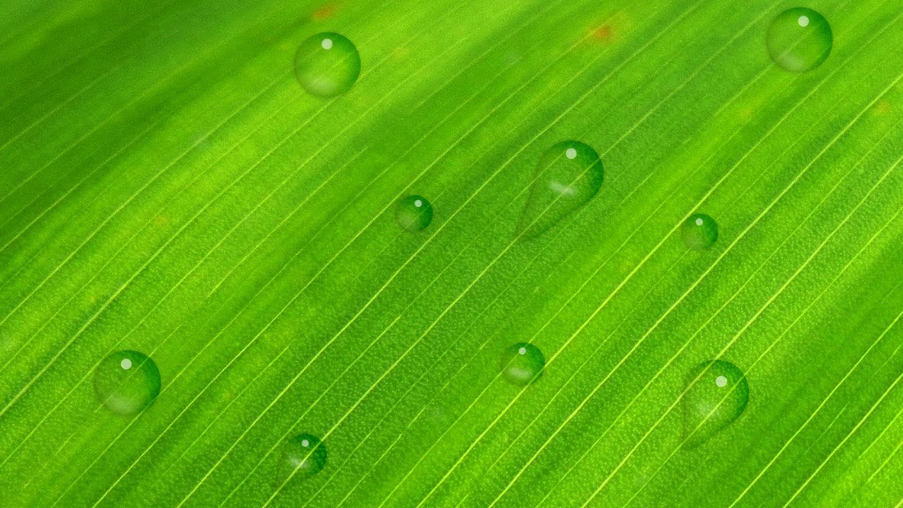 How to create Realistic Water Drops in Photoshop | Water drops ...