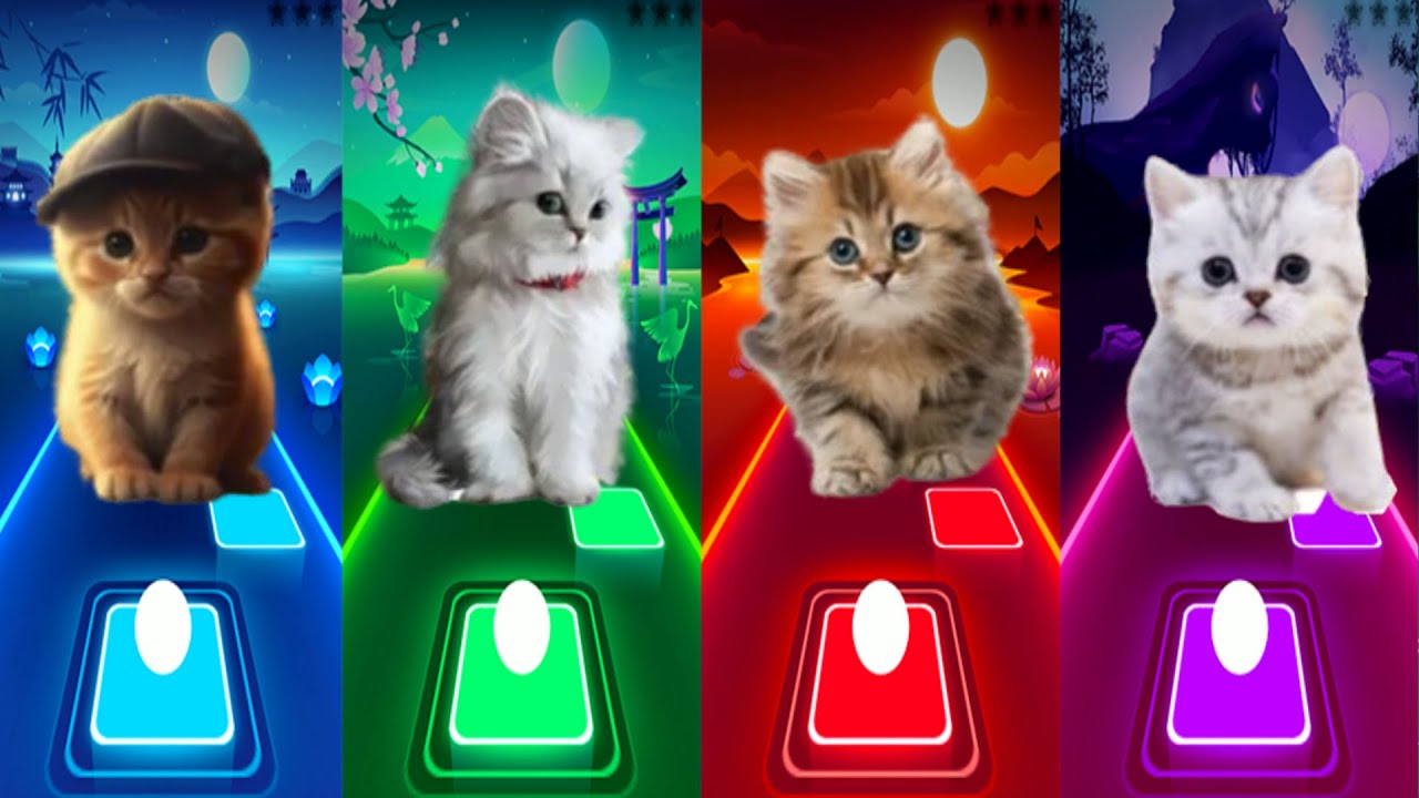 FIFTY FIFTY CUPID 🎧 BTS DYNAMITE 🎧IMAGINE DRAGONS 🎧 WAKA WAKA 🎧 CATS SONG TILES HOP - YouTube