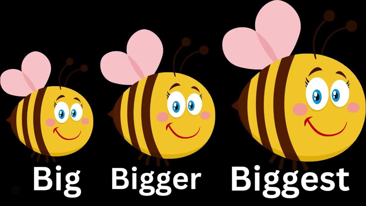Smallest to BIGGEST l sizes l Big, Bigger, Biggest l The Sizes for Kids ...