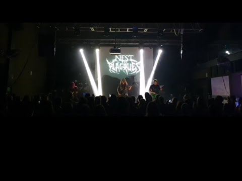 TourVlog - DAY 8 - MILAN, Slaughter Club 🇮🇹 - YouTube