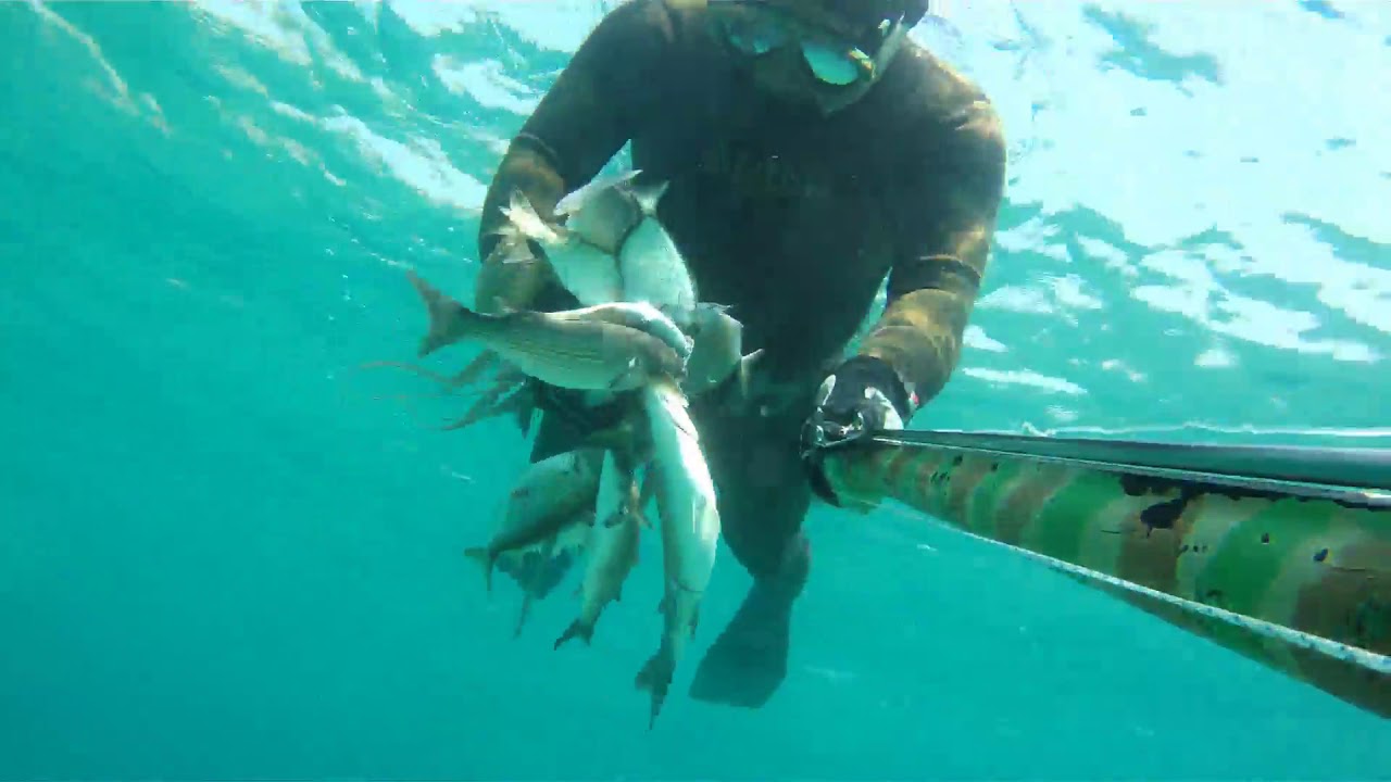 ψαροντουφεκο Σαμος 2017 το αποτελεσμα spearfishing - YouTube
