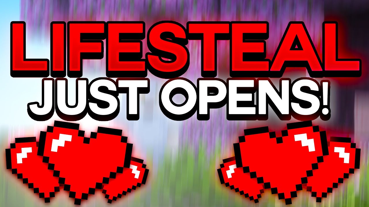 Join the BEST Brand New Lifesteal Server! - YouTube