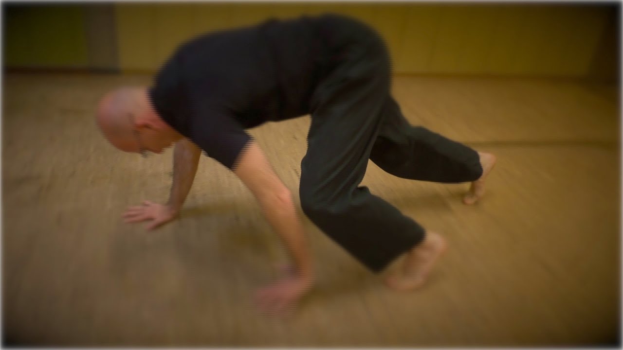 Workout Animal Moves - ein paar Übungen und Inspirationen zum ...