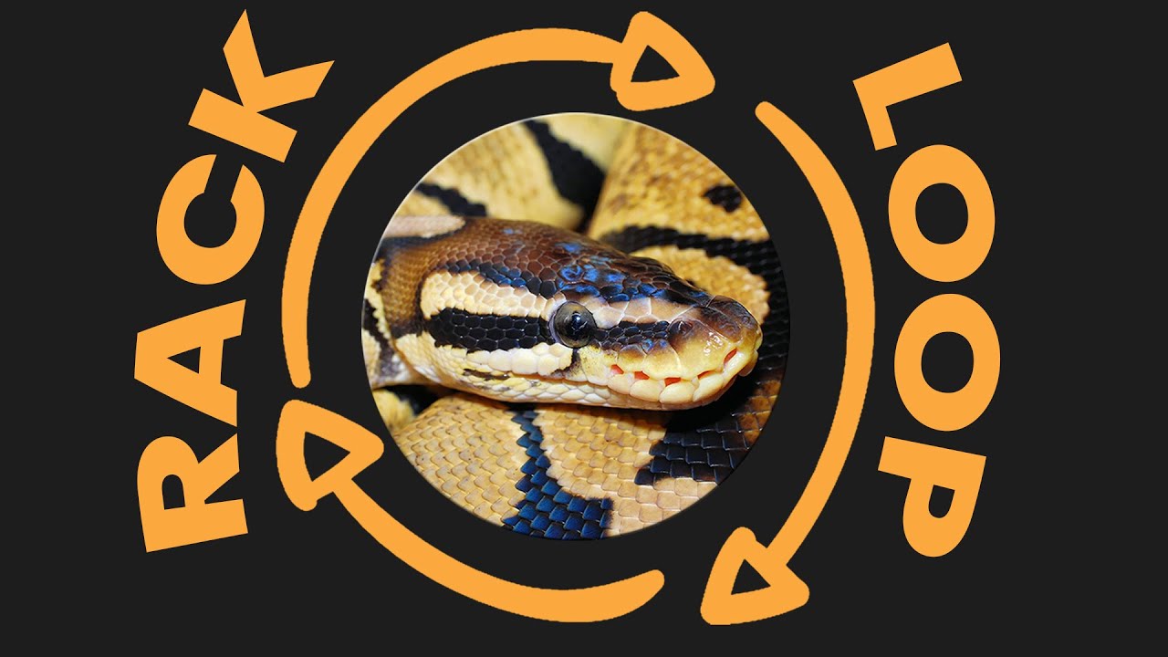 The Ball Python Rack Culture Misinformation Feedback Loop | Part 2 ...