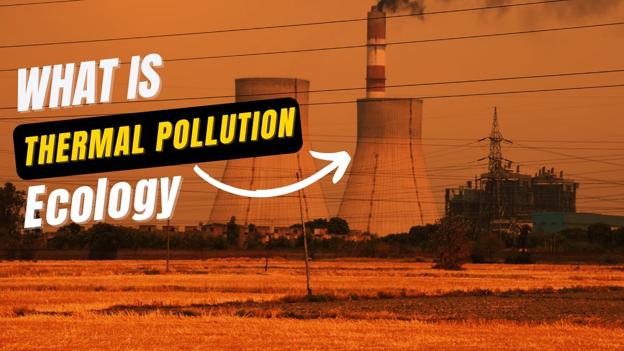 Thermal Pollution What Is Thermal Pollution Causes Effects thermal-pollution-what-is-thermal-pollution-causes-effects