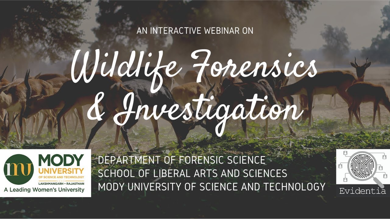 Wildlife Forensics & Investigation - YouTube