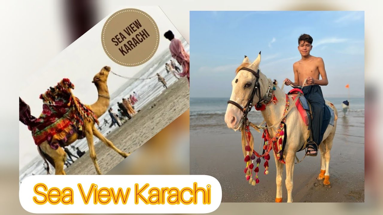 kARACHI KA SAMANDER 2022 / Sahil Samandar | karachi | pakistan - YouTube
