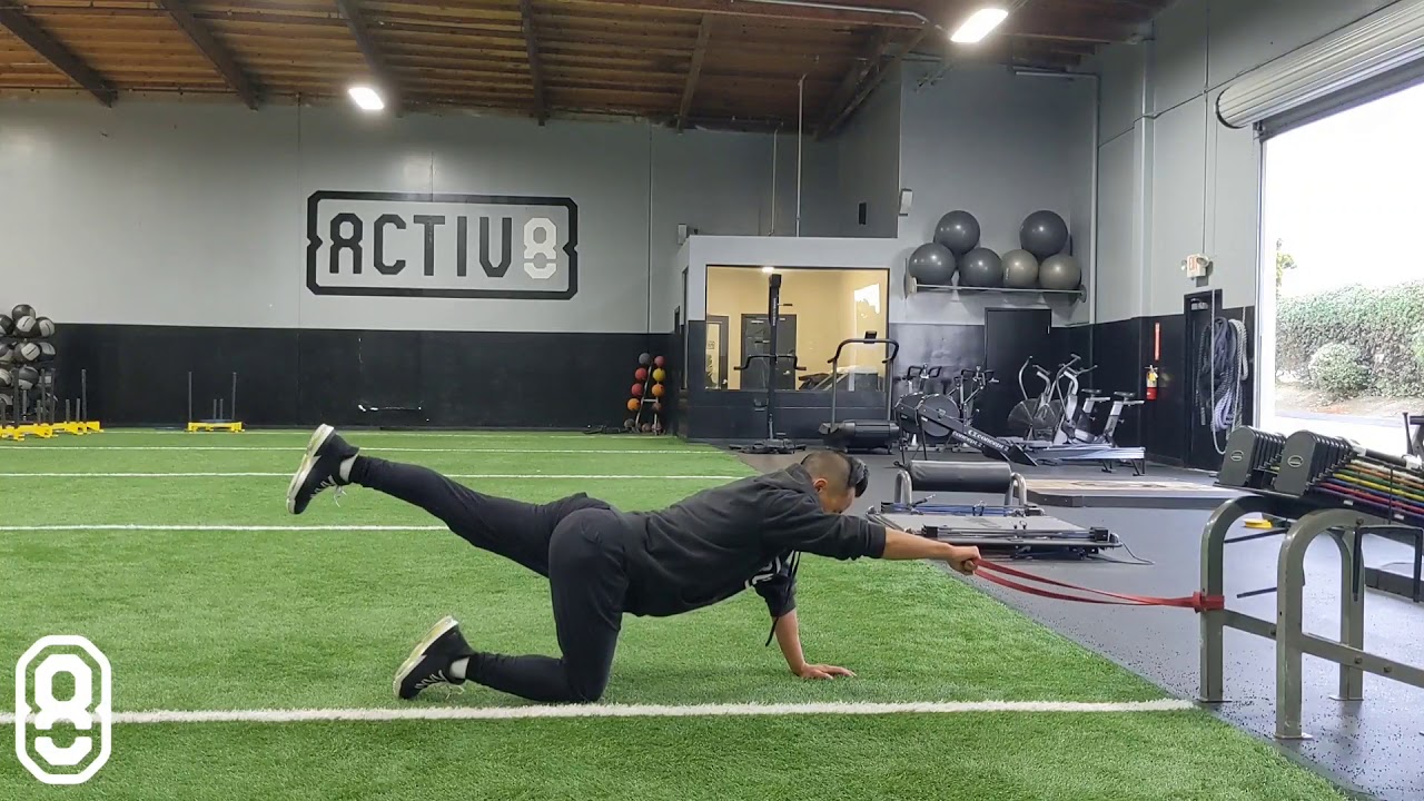 Resisted Bird Dog Band Pull - YouTube