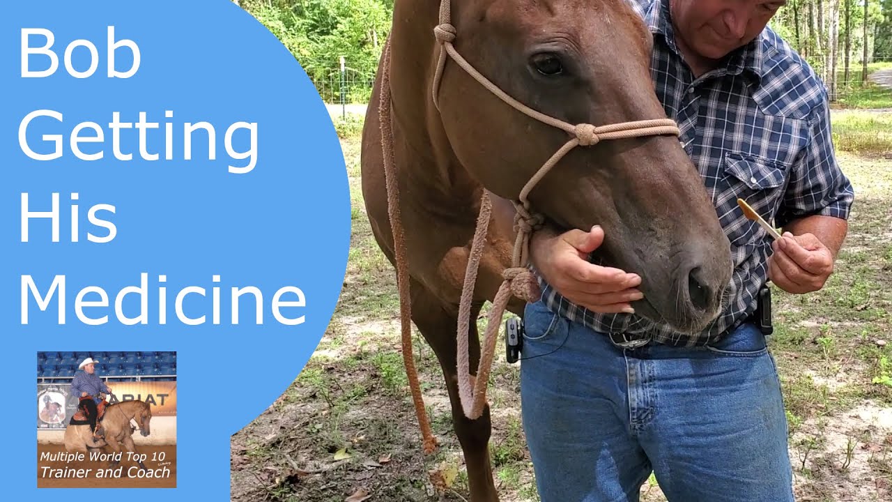 Bob getting his medicine - YouTube